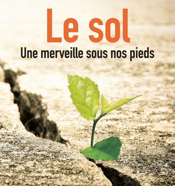 Conférence « le sol, une merveille sous nos pieds » - Graine BFC