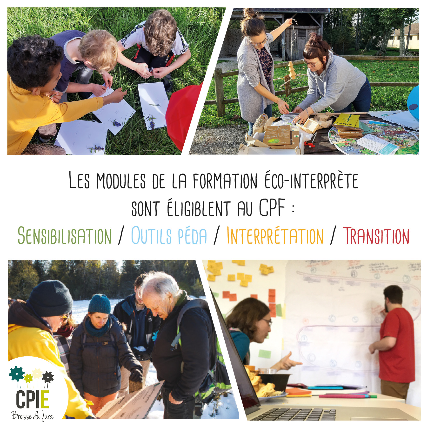 La formation éco-interprètre accessible par modules - Graine BFC
